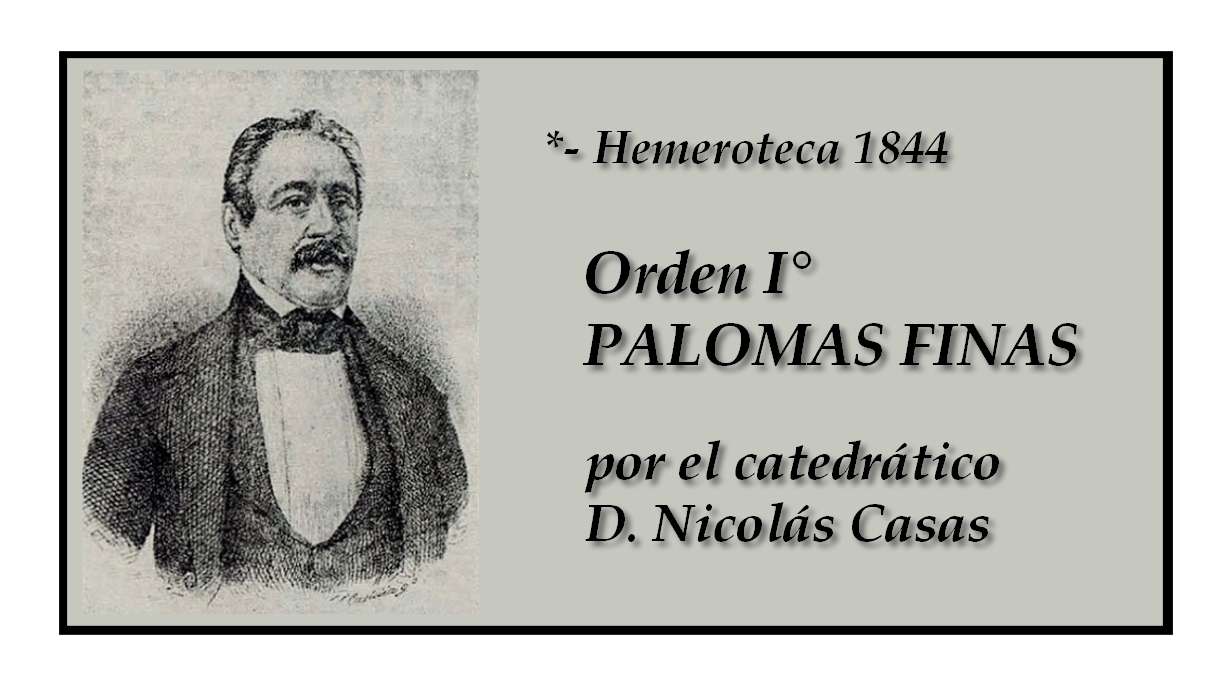 Palomas Finas – La Palomeria