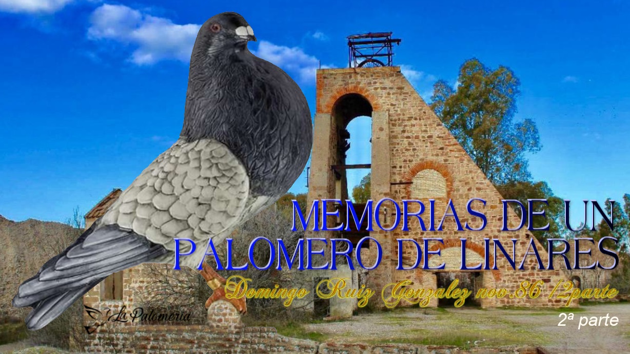 Memorias de un palomero de Linares 02 – La Palomeria