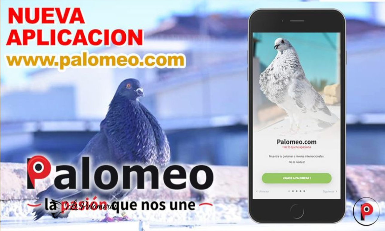 Palomeo Nueva Aplicación – La Palomeria